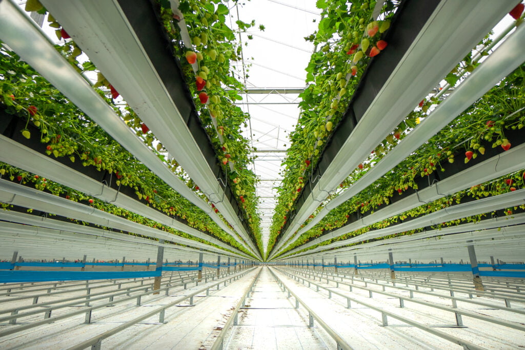 Dyson Farming: Growing the Future of Food | ESG Mena