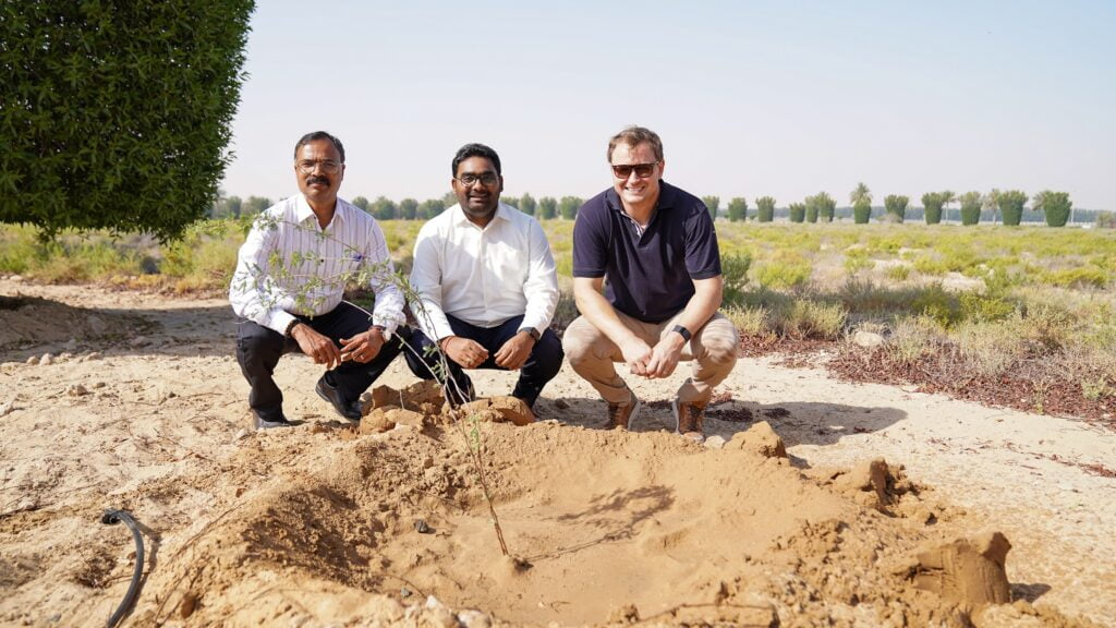 The Sevens Stadium in Dubai, UAE Plants 100 Ghaf Trees | ESG Mena